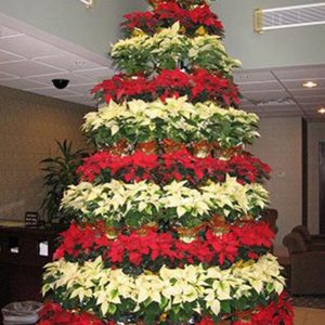 10′ Full Round [210FB]