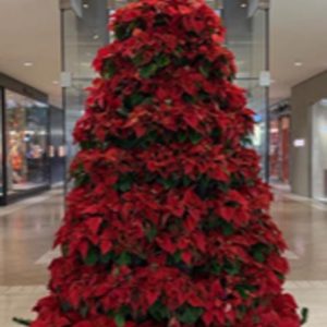 10′ Full Round [210FB]