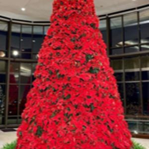 15′ Full Round [315FB]