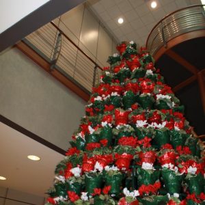 15′ Full Round [315FB]