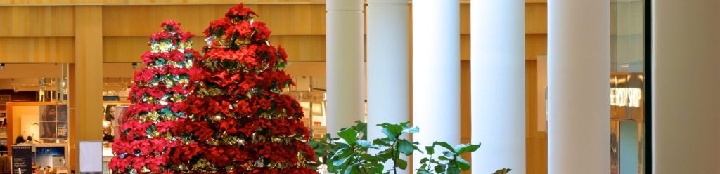 Creative Display Center | Potted Plant Tree Racks - Silk Poinsettias ...