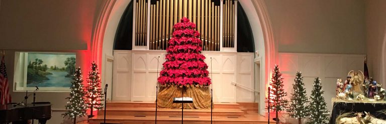 Creative Display Center | Potted Plant Tree Racks - Silk Poinsettias ...