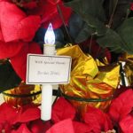 Creative Display Center | Potted Plant Tree Racks - Silk Poinsettias ...