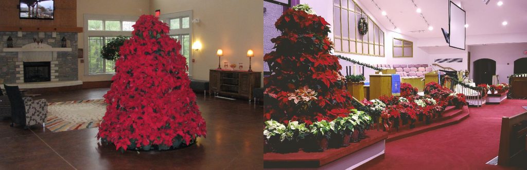 Creative Display Center | Potted Plant Tree Racks - Silk Poinsettias ...