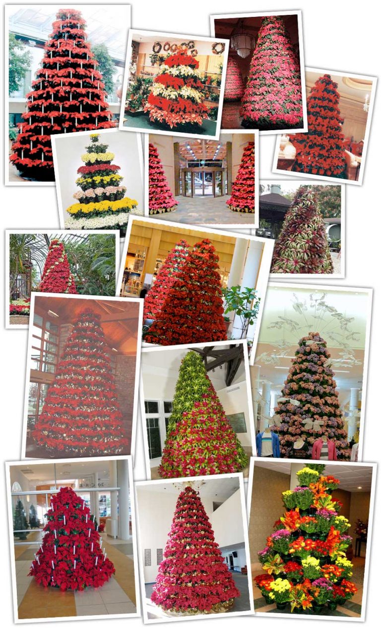 Creative Display Center | Potted Plant Tree Racks - Silk Poinsettias ...
