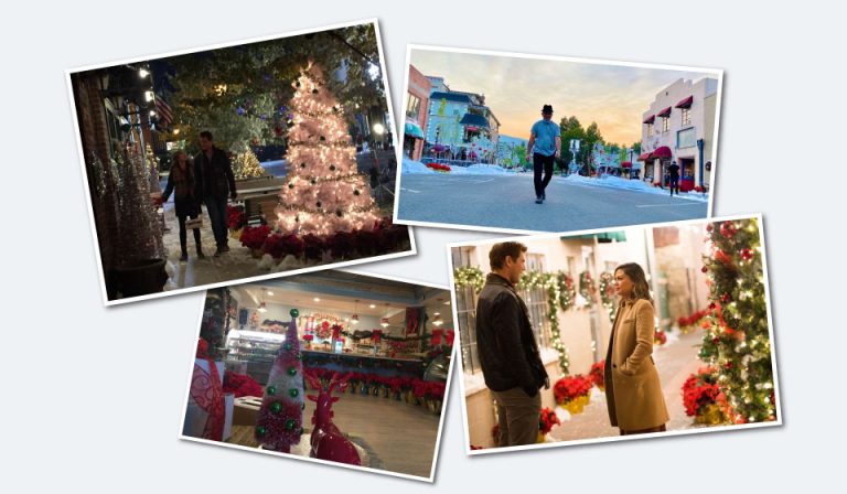 Creative Display Center | Potted Plant Tree Racks - Silk Poinsettias ...