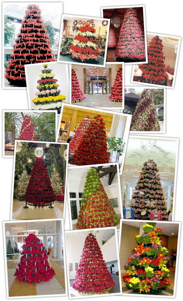 Creative Display Center | Potted Plant Tree Racks - Silk Poinsettias ...